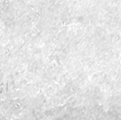 Yttrium Chloride Hexahydrate Powder, YCl3.6H2O, CAS 10025-94-2 - He...